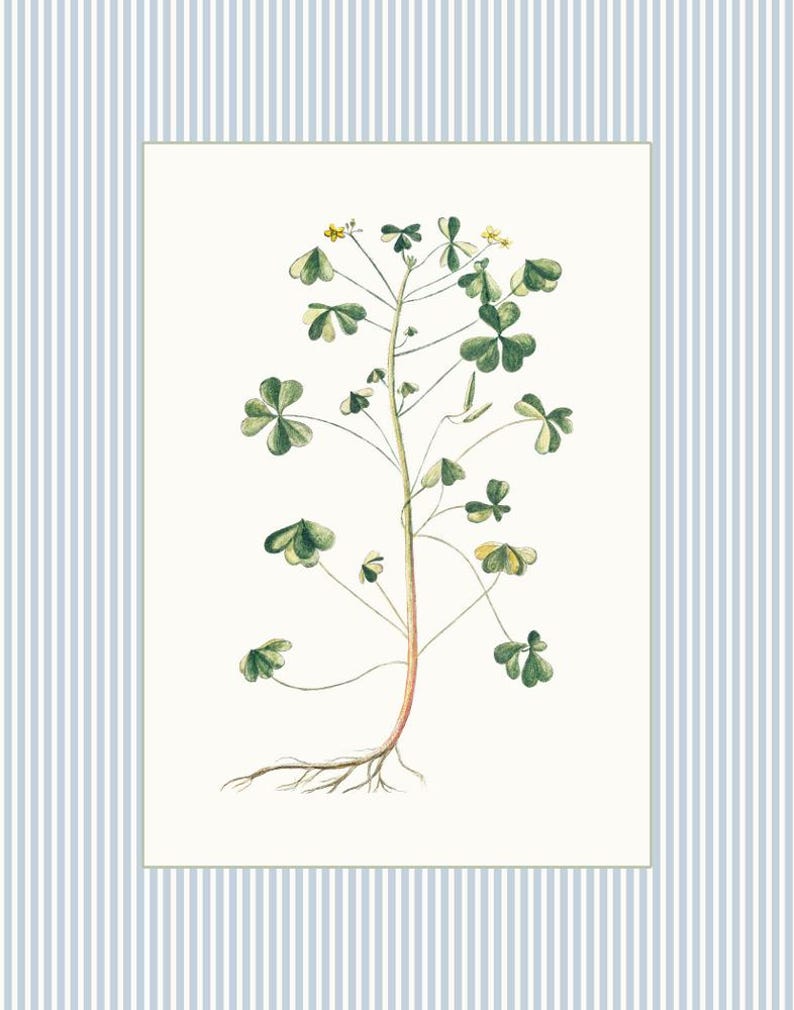 Antique Botanical Collage Print Set, Italian Botanical Art, Home Decor ...