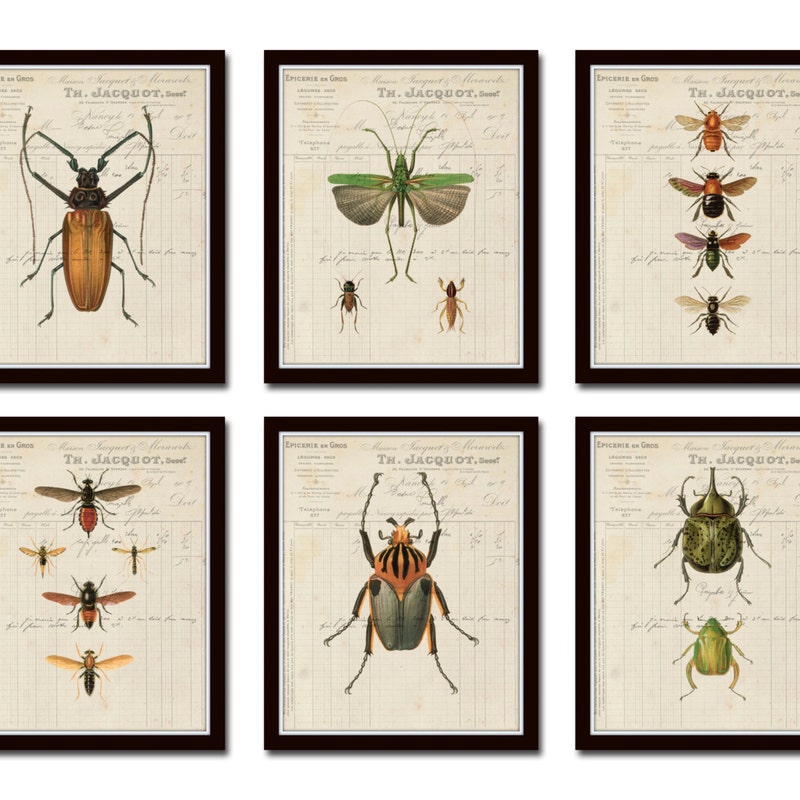 Insect Wall Hanging - Etsy