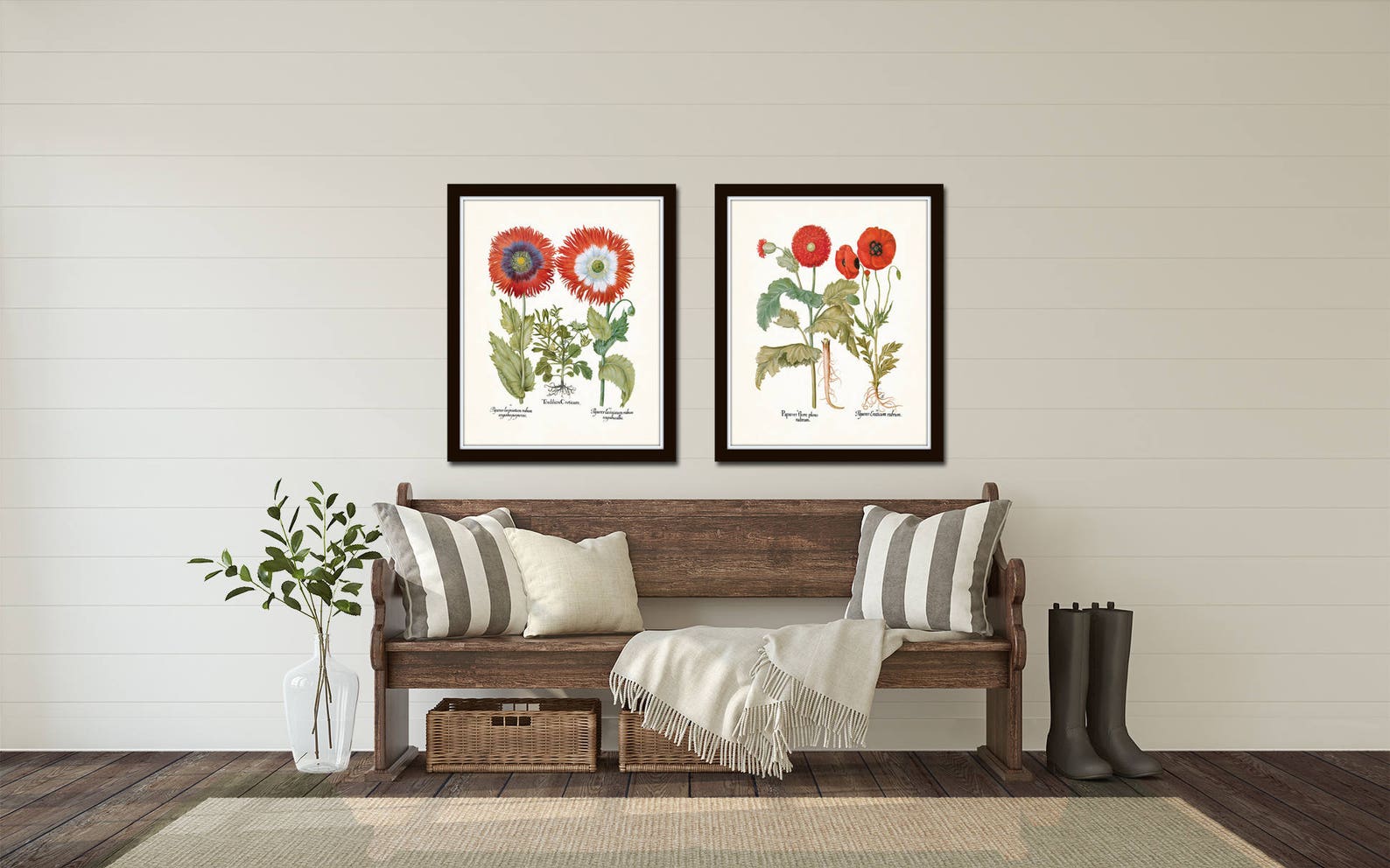 Red Poppy Botanical Print Set Botanical Prints Botanical | Etsy