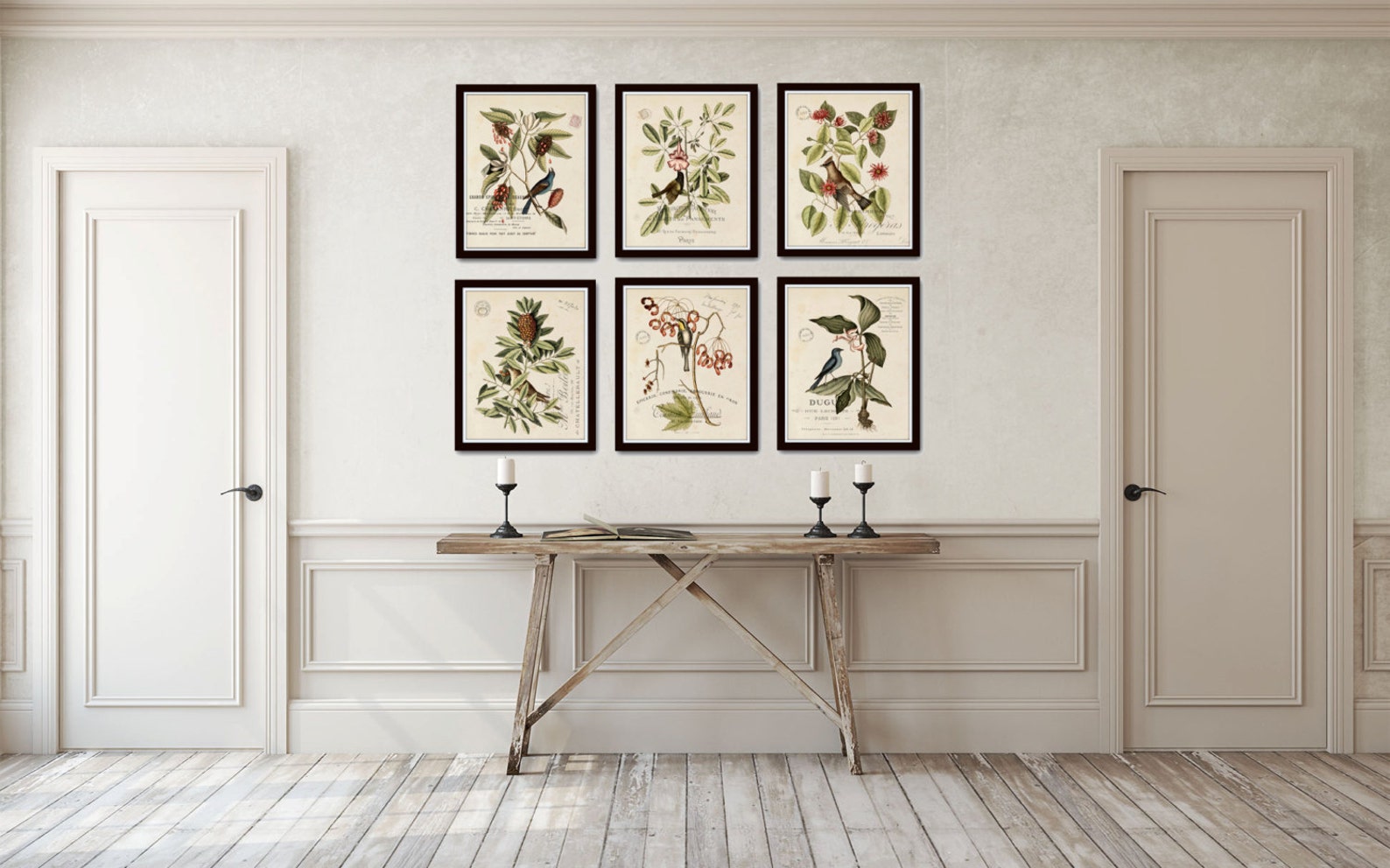 Vintage Bird and Botanical Print Set No.2, Giclee, Antique Botanical ...