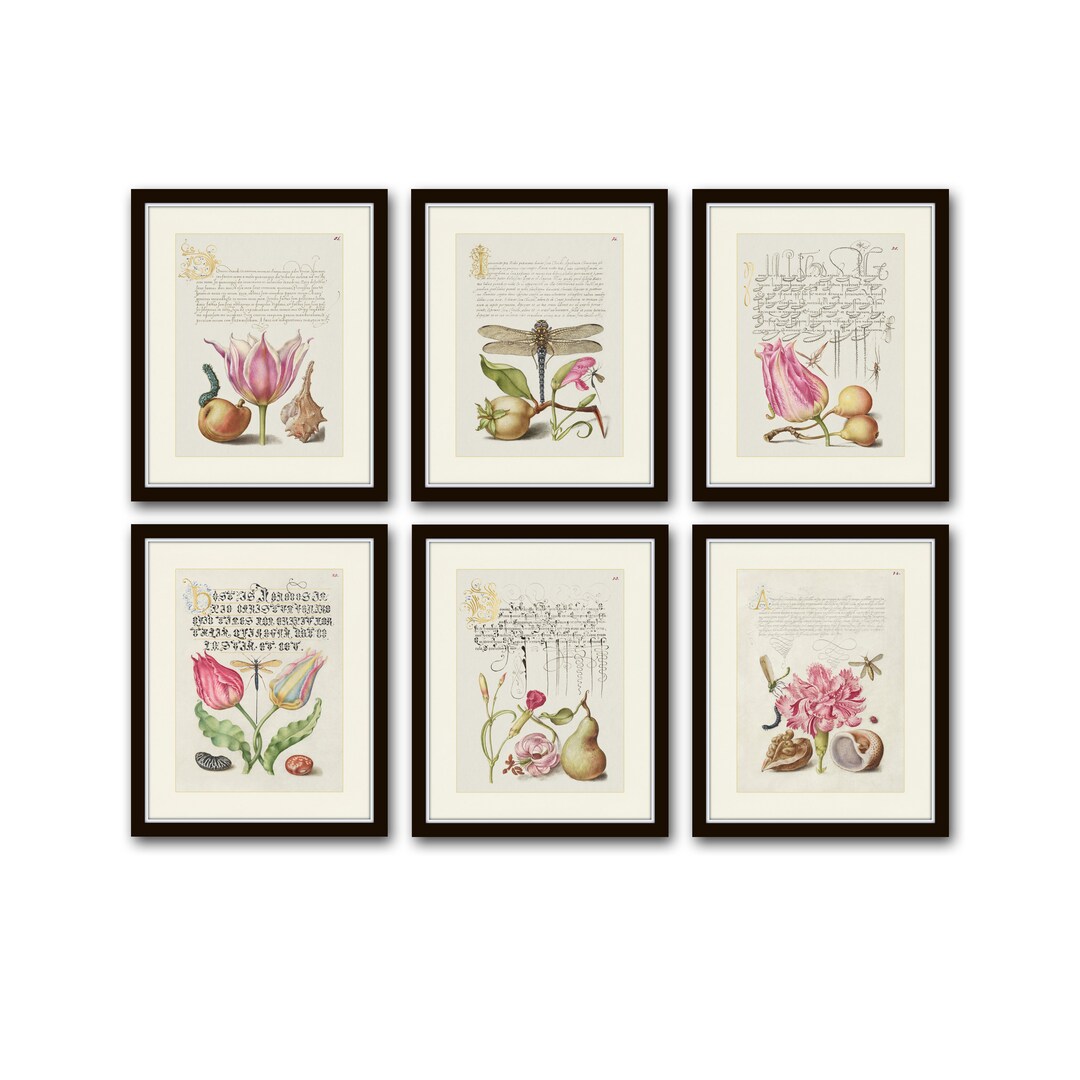 Botanical Print Set Calligraphy Art Manuscript Giclee Art - Etsy