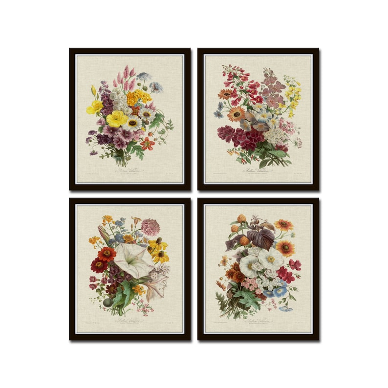 French Botanical Print Set No. 2 Vintage Botanical Prints | Etsy