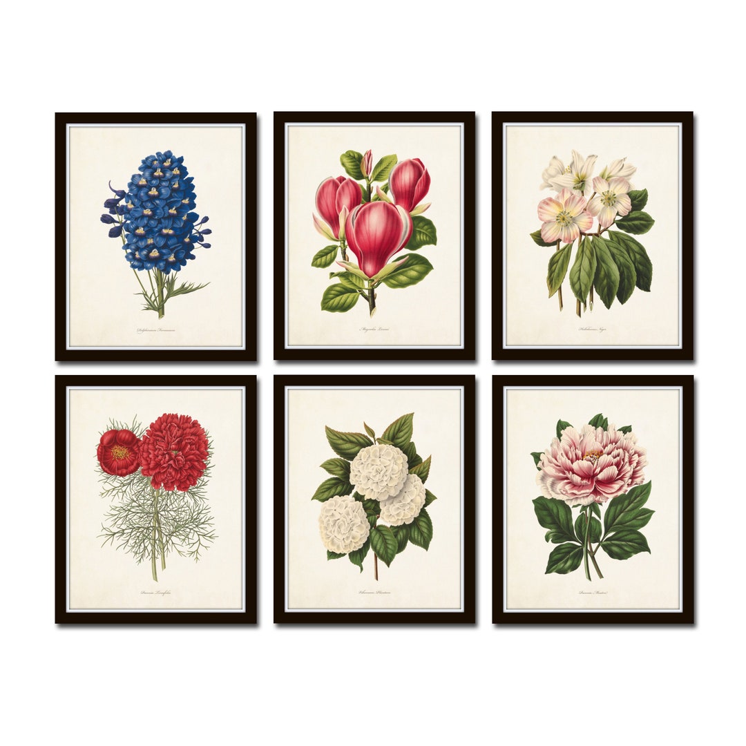 Botanical Garden Print Set No 28 Vintage Botanical Art Botanical