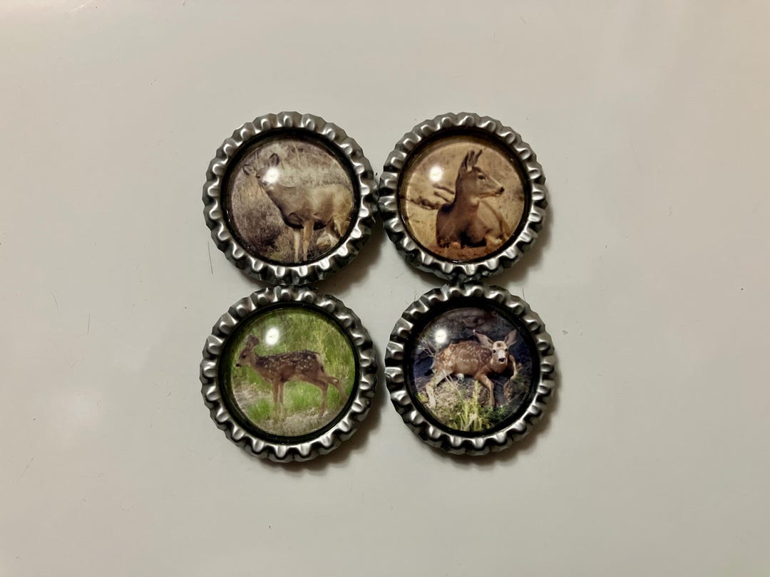Deer Refrigerator Magnets, Wildlife Photos - Etsy