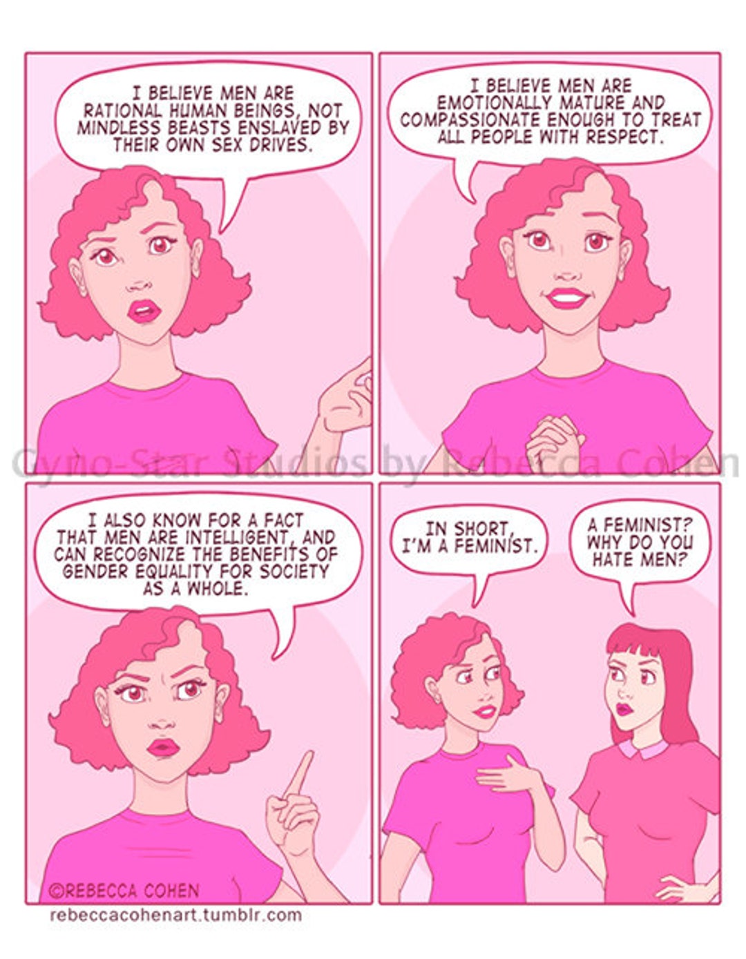 Do Feminists Hate Men Sticker Laptop Decal Comic Strip Cartoon Art