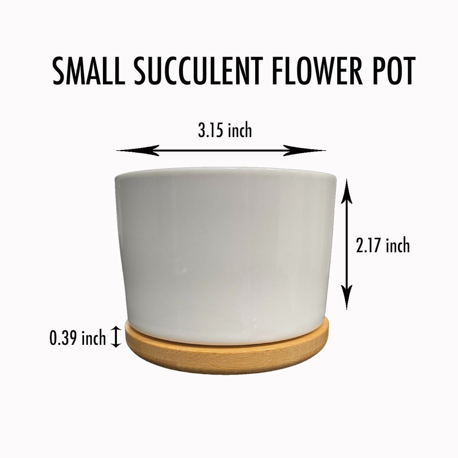 Succ It up Buttercup, Succulent Pots, Succulent Planter With Drainage ...