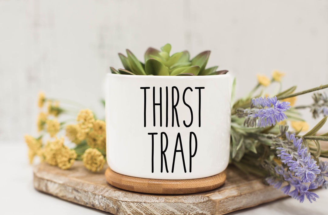 Thirst Trap, Succulent Pots, Succulent Planter With Drainage, Funny ...