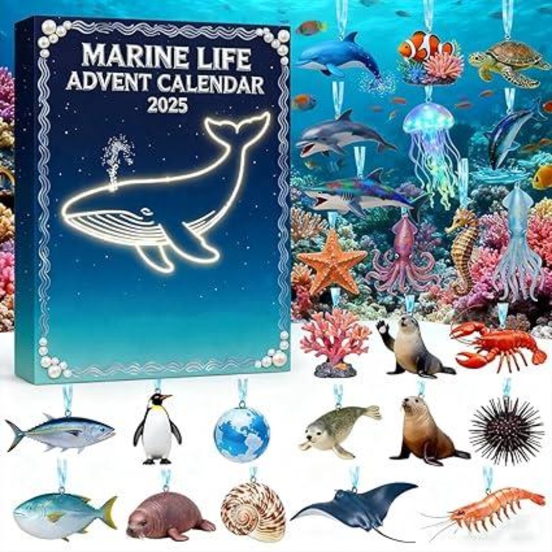 Marine Life Advent Calendar, 24 Day Ocean Countdown Box, Sea Animal ...