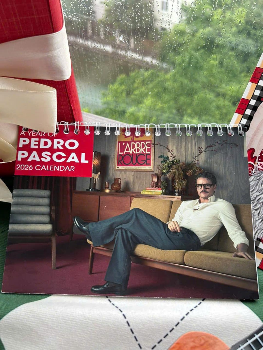 Pedro Pascal 2025 Wall Calendar Planner, Gift for Her, Celebrity ...