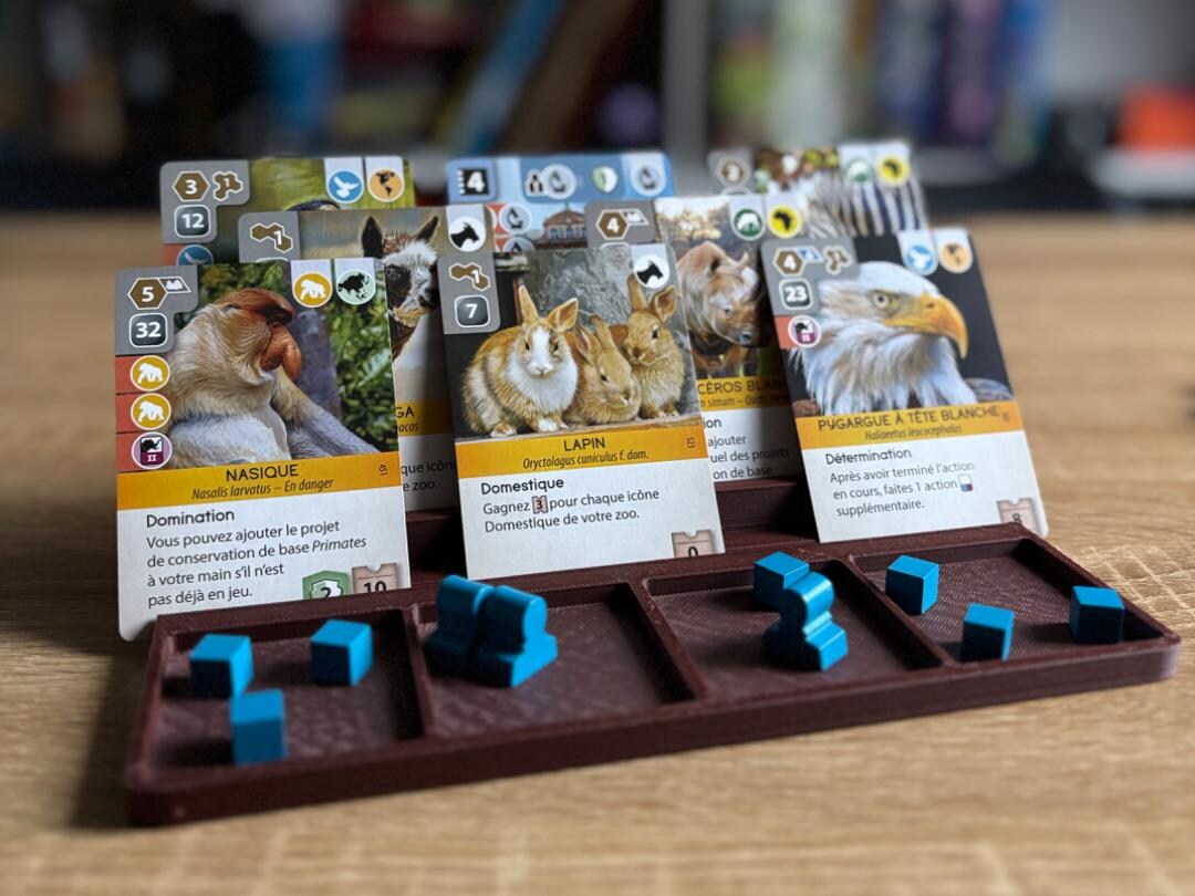 Table Top Card Display | Animal Card Holder | Conservation Project ...