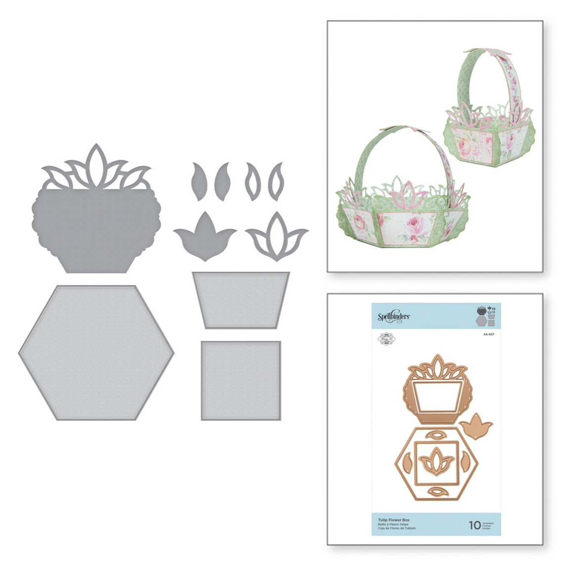 Spellbinders Tulip Flower Box Dies, 10 per Pkg, Cut and Emboss ...