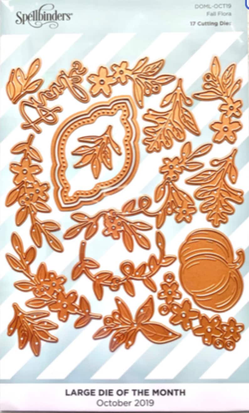 Spellbinders Swirly Doily (1 Pc) or Fall Flora (17 Pc) Die ...