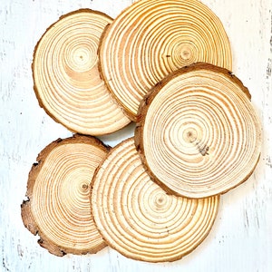 Arteza Natural Wood Slices, 5 Pieces, 3.5-4 Inch Diameter, 0.4 ...