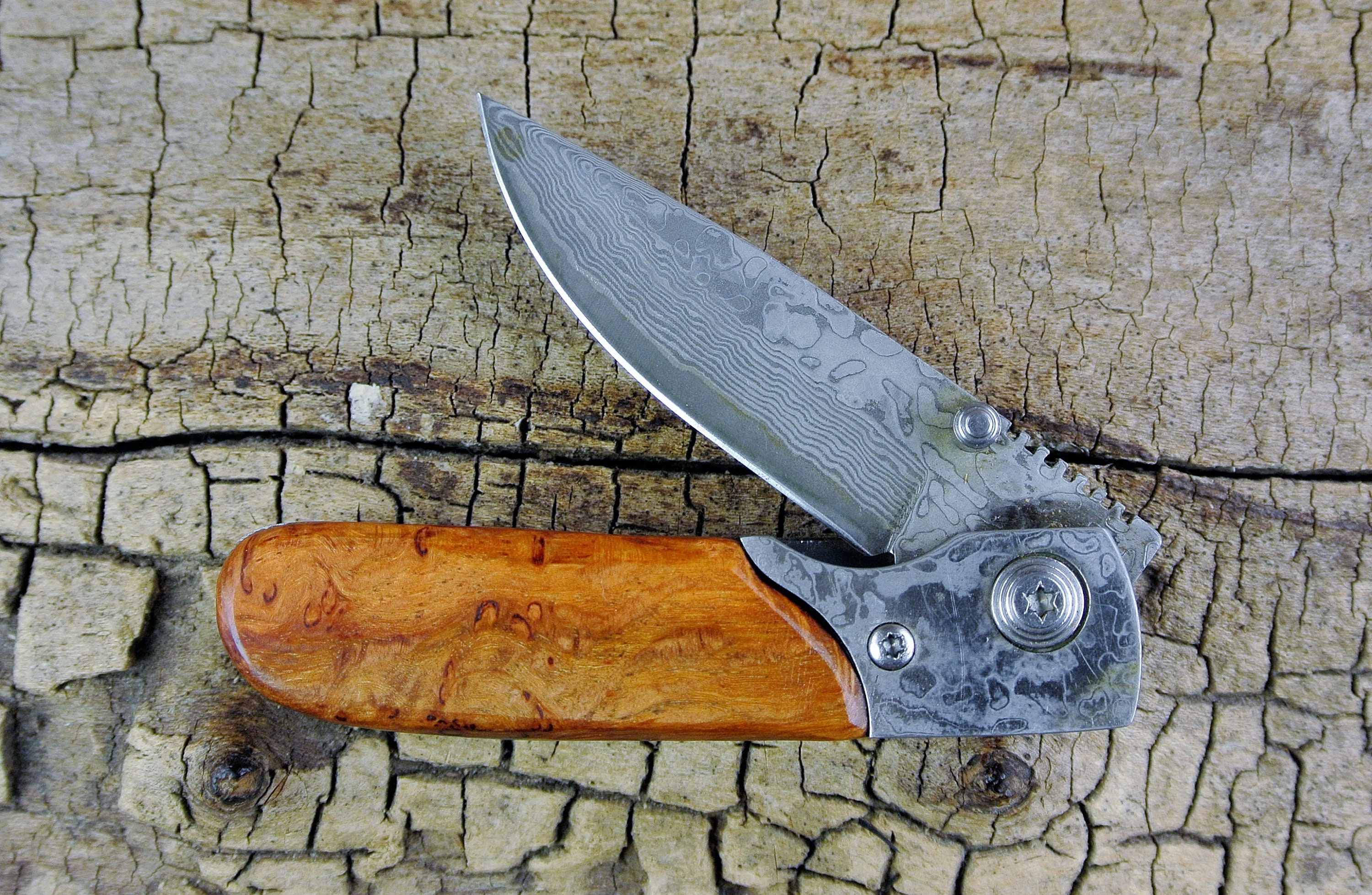 Pocket Knife with Wood Handle - Sheoak Lace Burl - Wooden Handle with ...