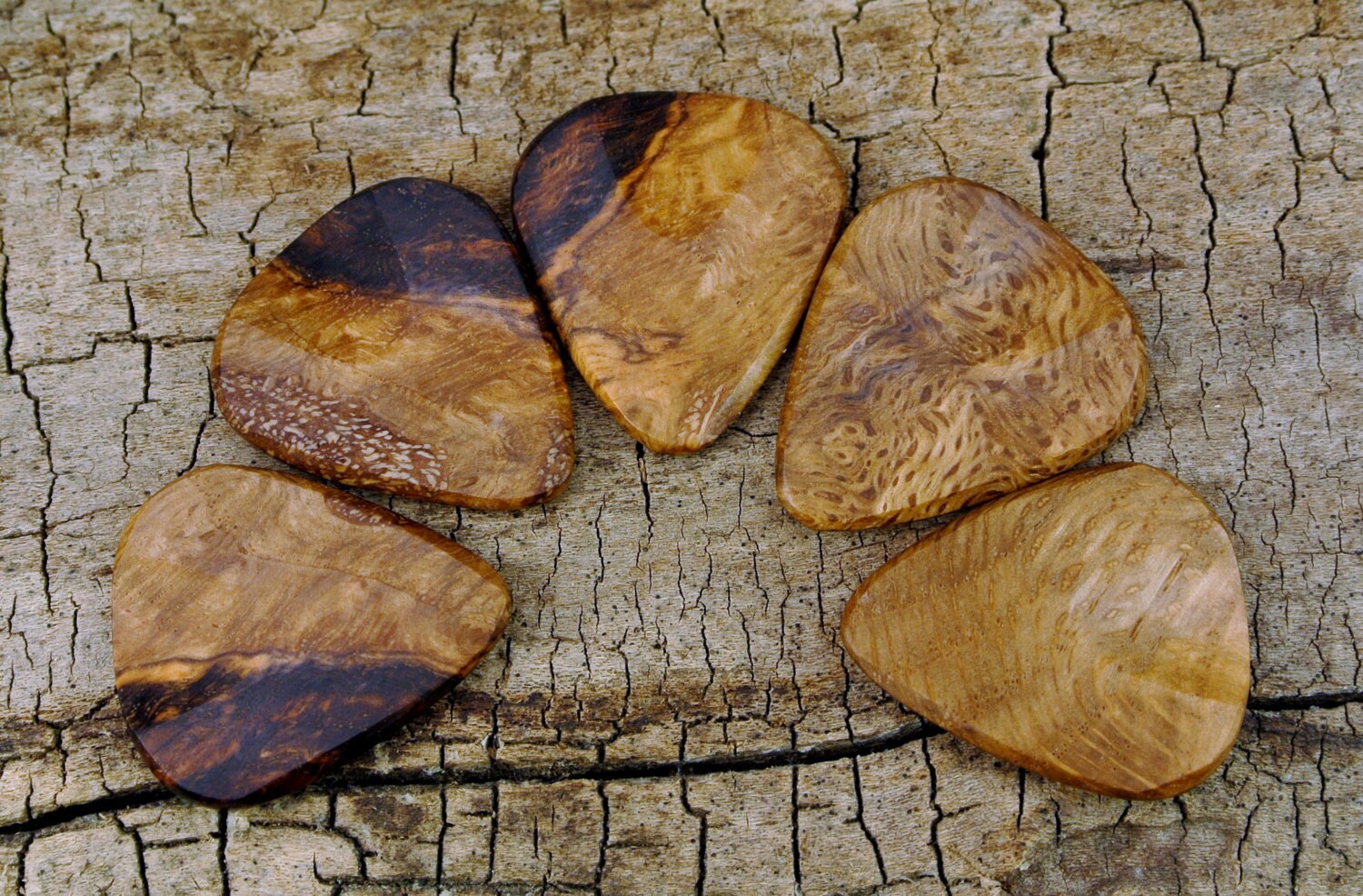Sycamore Burl - Limited Availability - Grain Patterns and Colors Vary ...