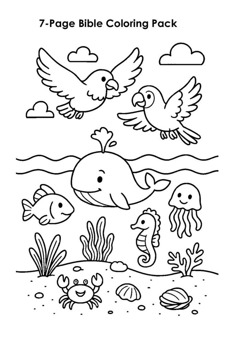 7 Days of Creation Coloring Pack | Letter Printable | Sunday School ...