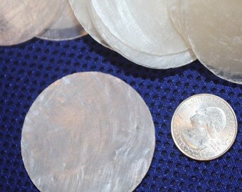 Wedding shells | Etsy