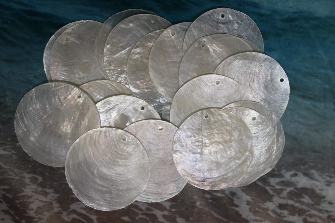 DRILLED SEASHELL Wall Art, Capiz Seashell, 3 Inch Semi Translucent ...