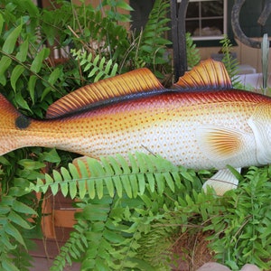 28" Redfish Wall Mount - Life Size and Species Correct- Trophy Fish ...