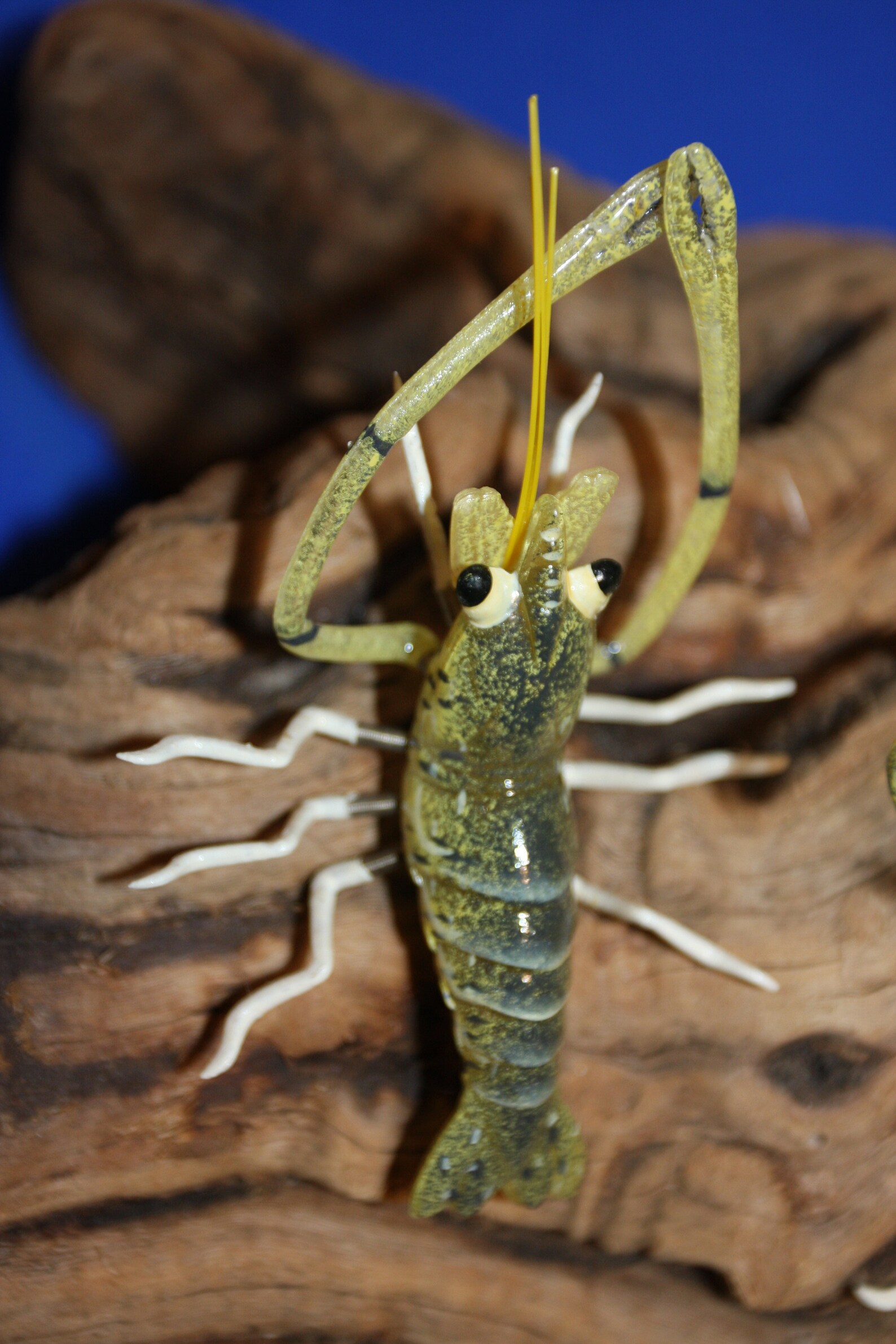 Restaurant Display Shrimp for seascape creation projects diy | Etsy