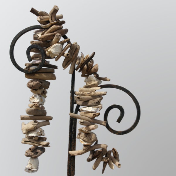 Shell and Driftwood - Etsy