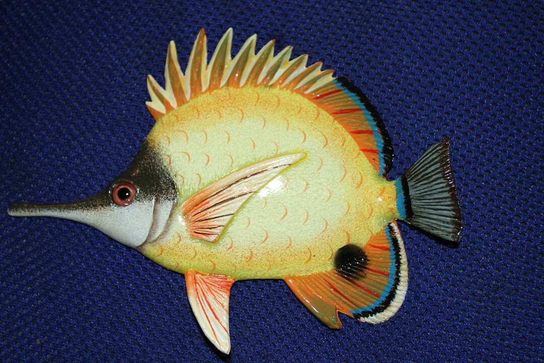 6 Inch Species Correct Tropical Fish, Craft - Wreath - Netscape Supply ...