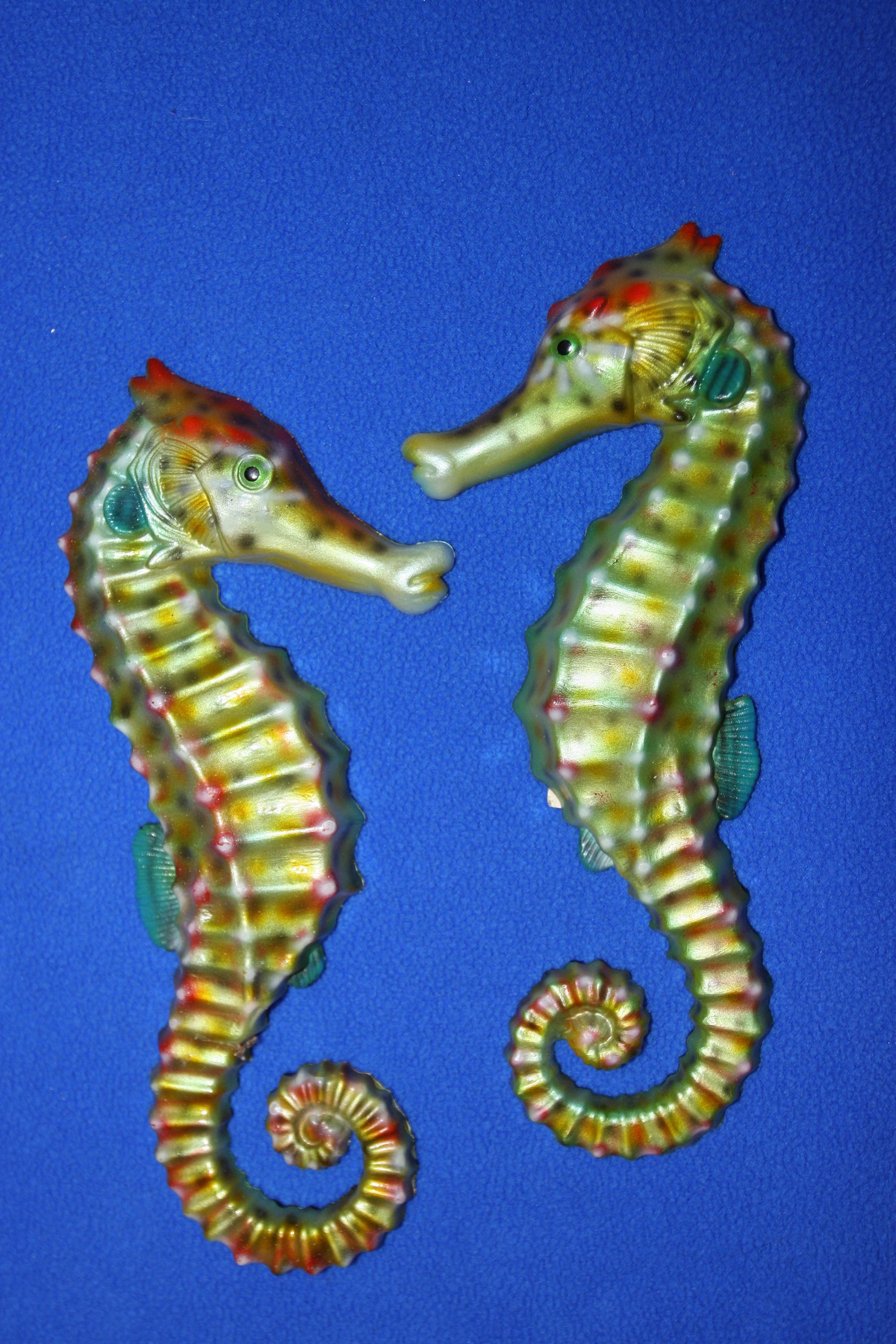 6 Inch Pair of Multi Colored Seahorses Vivid Colors Species - Etsy