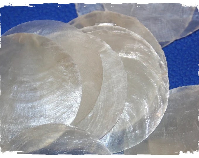 Capiz Shell, Seashells, Shells, Craft Shells, Shells, Coastal Decor ...
