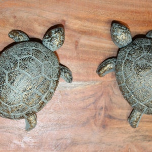 SPEEDY TURTLE / Collectible Free Standing Turtle / Bronze Look / 3 ...