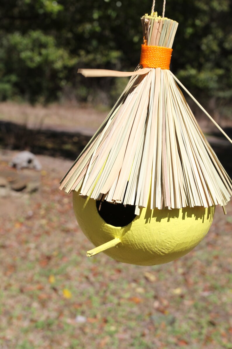 4 Vibrant Colors Coconut Tiki Birdhouse Tropical Yard Decor - Etsy