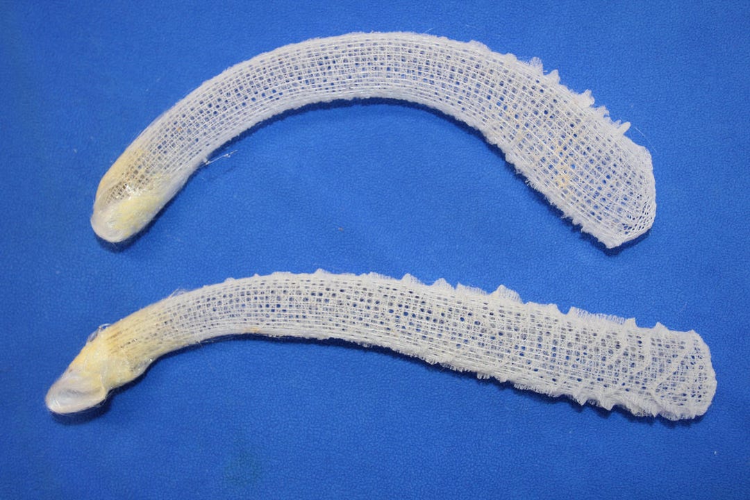 MONSTER.... Venus Flower Baskets, Glass Sponge, Unique Gift, Beach ...