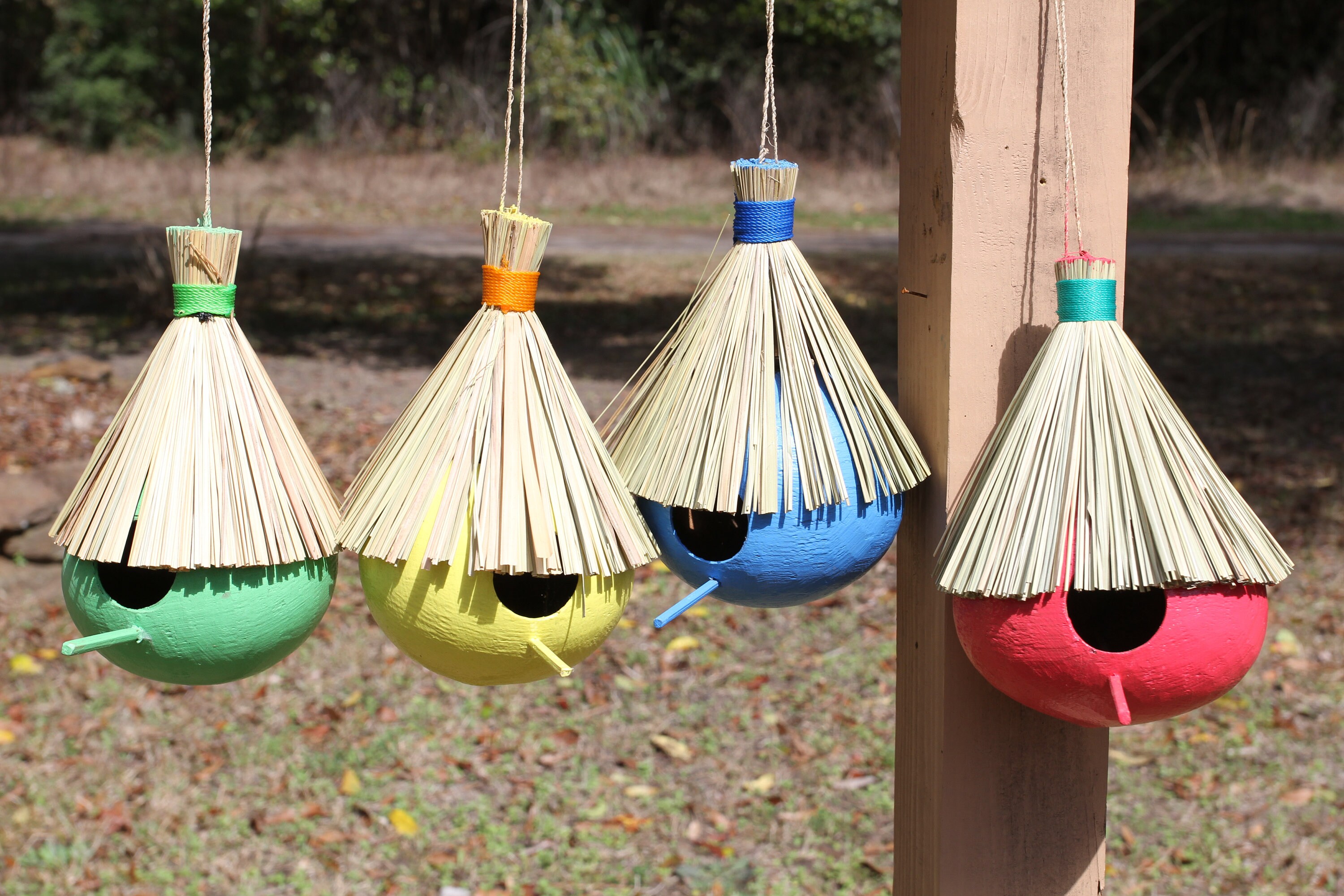 4 Vibrant Colors Coconut Tiki Birdhouse Tropical Yard Decor | Etsy