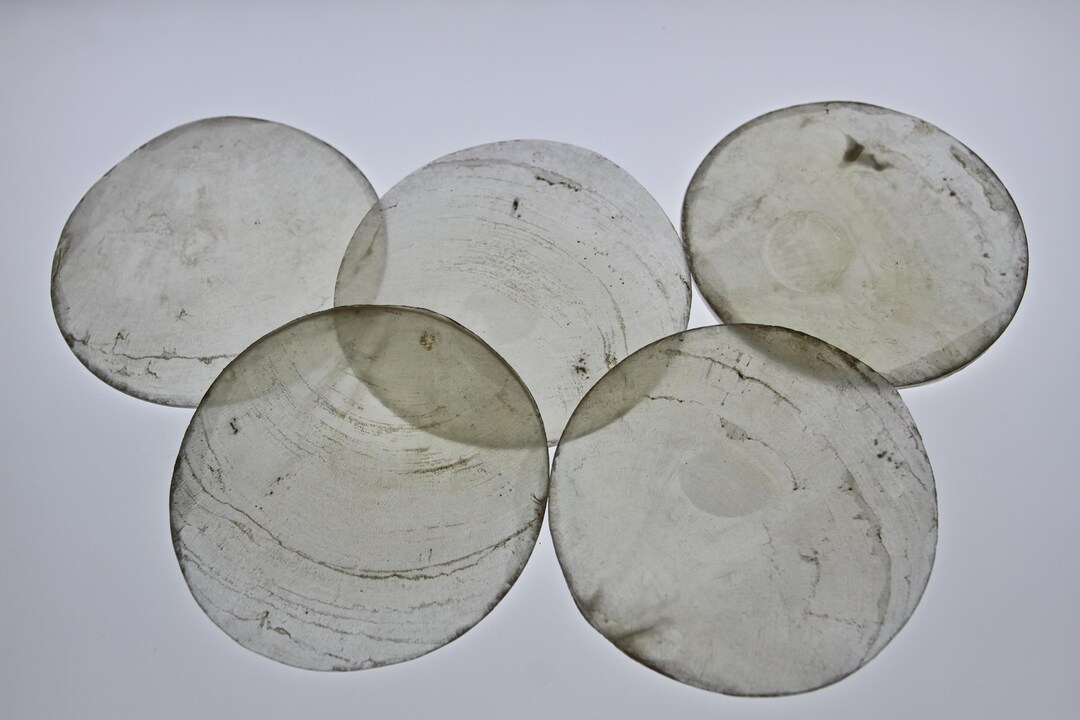 3" CAPIZ SEASHELLS Sun Catcher Supply, Semi Translucent, Window Art ...