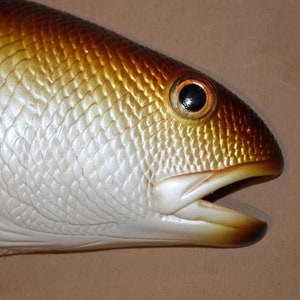 28" Redfish Wall Mount - Life Size and Species Correct- Trophy Fish ...