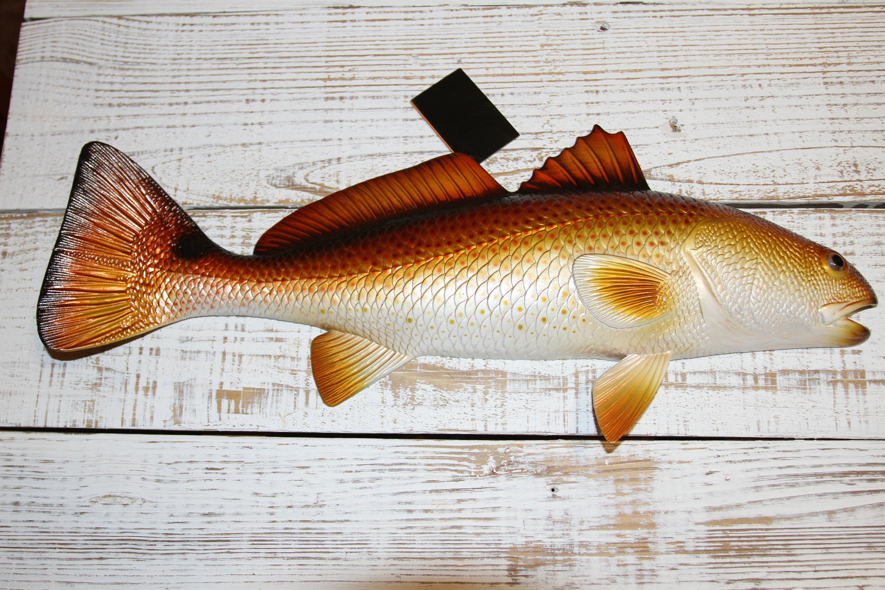 19 Red Fish Wall Decor Christmas Gift Free Shipping - Etsy