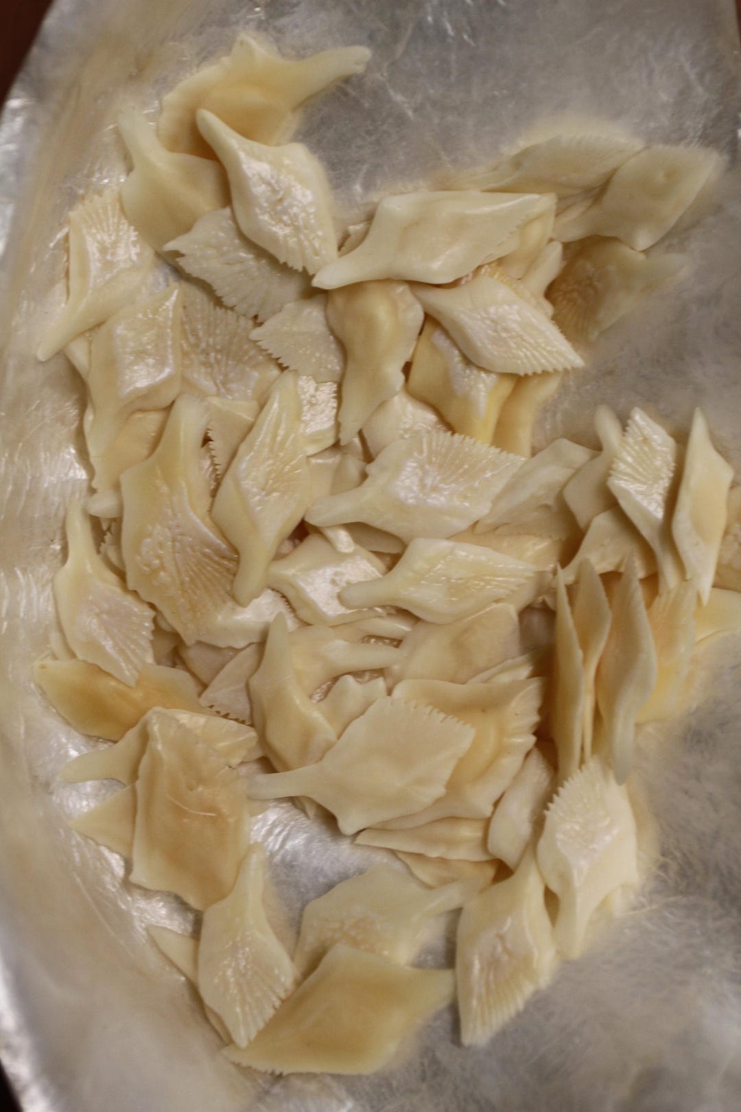 LARGE GAR SCALES Ivory Tone Gar Scales, Fish Scales, Shell Crafting ...