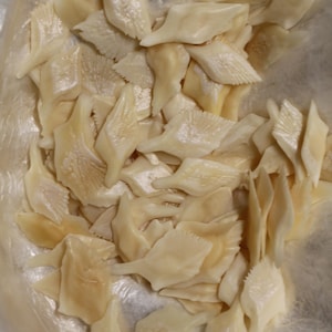 LARGE GAR SCALES Ivory Tone Gar Scales, Fish Scales, Shell Crafting ...