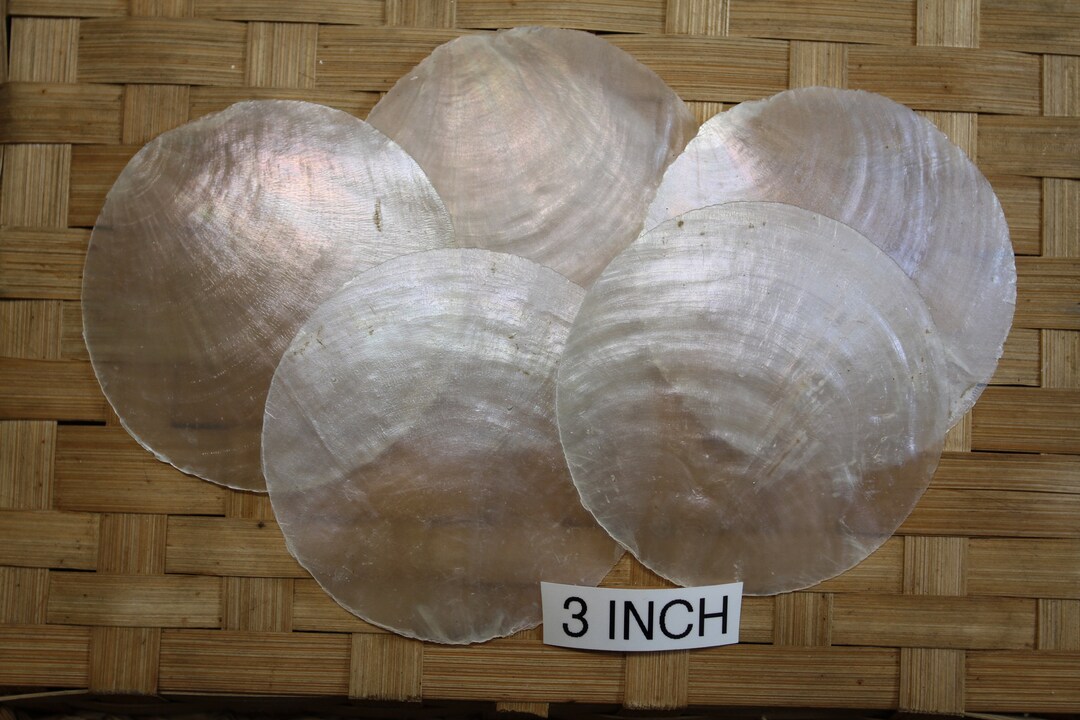 Capiz Cut Shell, Three Inches Across,craft Supply,beach Weddings ...