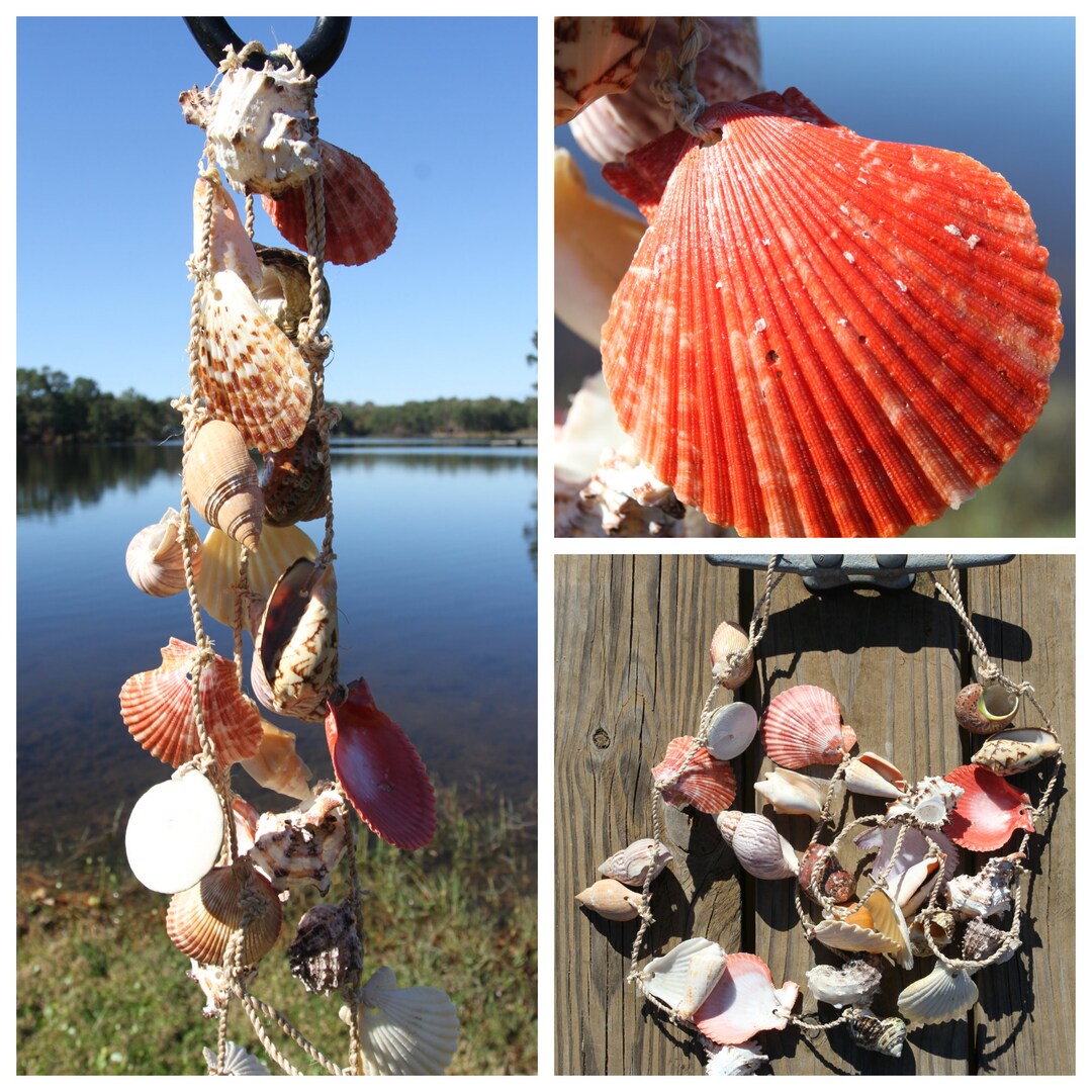 New Arrival Seashell Garland Mothers Day Gift, Beach-coastal Tropical ...