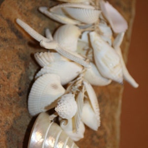 Seashell Mobile Hand Crafted All White Starfish Beach Coastal Home ...