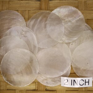 2" CAPIZ Sliced,sliced Seashell, Wedding Supply, Florist Supply ...