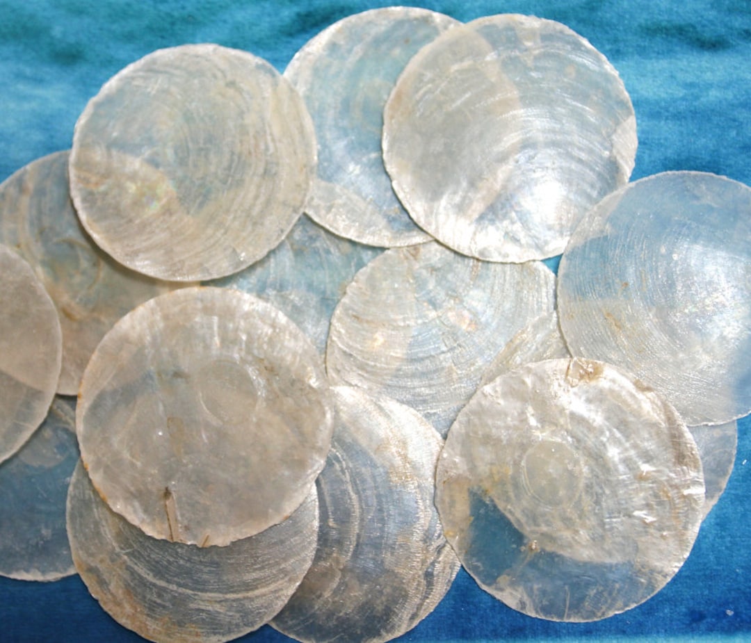 2 Inch Capiz Craft Seashells, #2 Quality, Craft Supplies, Ships Free CRT-02 - Etsy