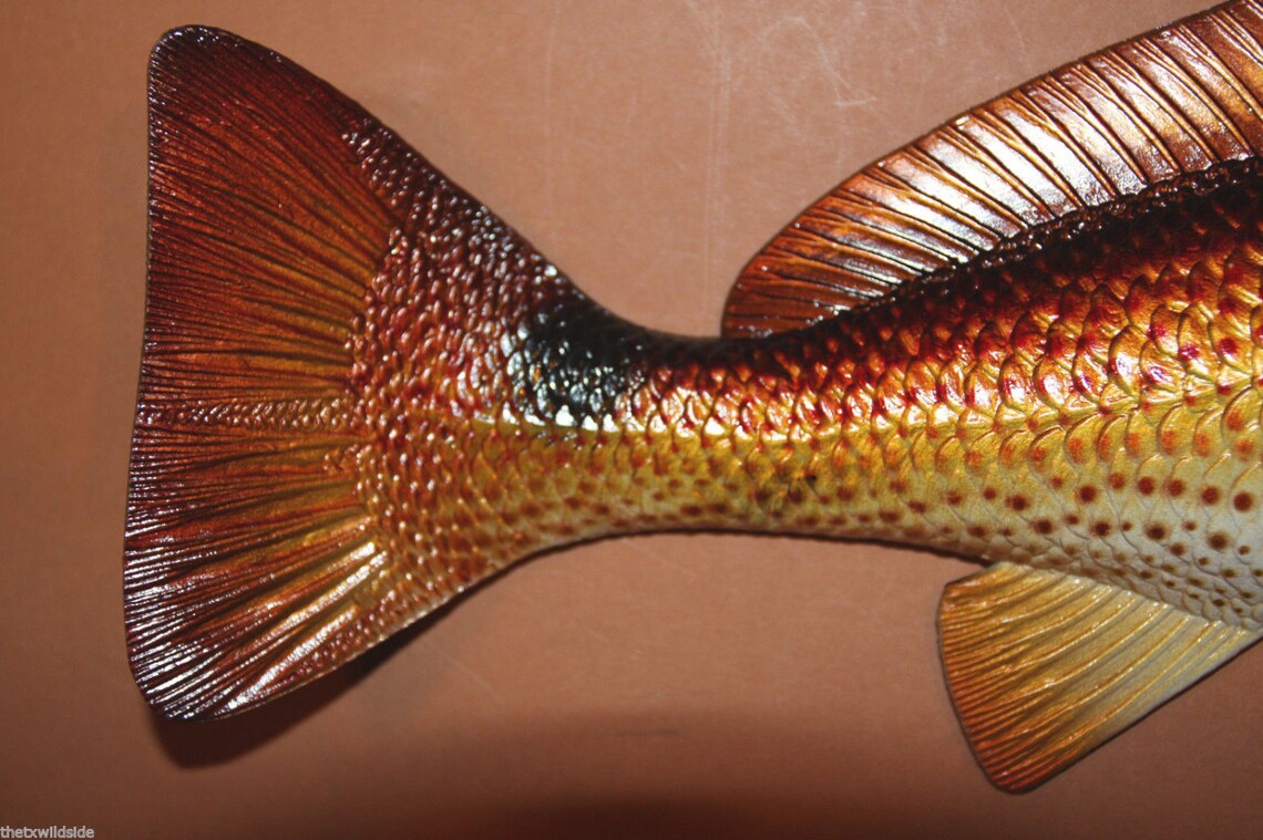 1 11 Replica Redfish Wall Display Free Shipping 28 | Etsy España