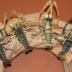 12 Pcs Ultra Realistic Shrimp for Seascape Creation Projects, Diy ...