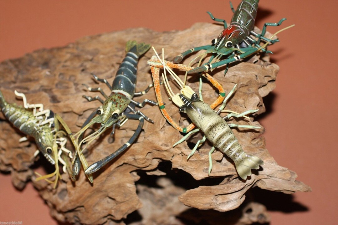 12 Pcs Ultra Realistic Shrimp for Seascape Creation Projects, Diy ...