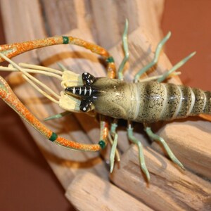 12 Pcs Ultra Realistic Shrimp for Seascape Creation Projects, Diy ...