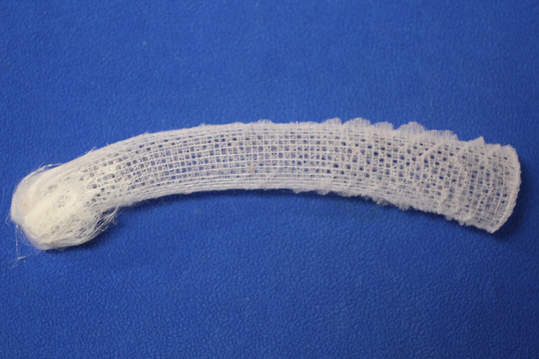 Venus Flower Basket, Glass Sponge, Unique Gift, Free Ship SS-125 - Etsy