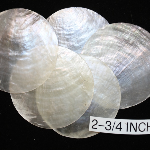 Capiz Shell Jewelry - Etsy