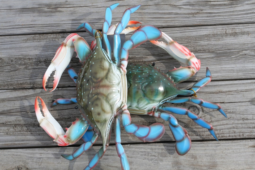 16 17 Realistic 3D Steamed Crabs, Sea Life Wreath Supply, Free Ship - Etsy