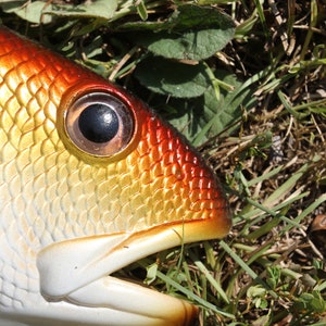 28" Redfish Wall Mount - Life Size and Species Correct- Trophy Fish ...